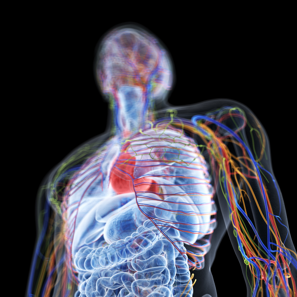 An Emergency Radiologist’s Perspective on Traumatic Vascular Injuries ...